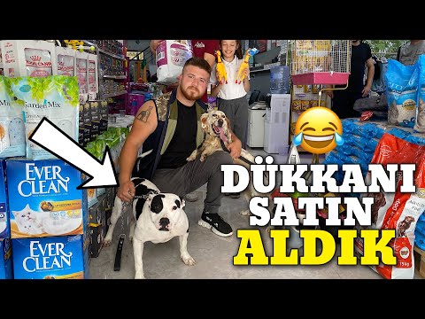Süslü Ve İzabel'in KOKLADIĞI HER ŞEYİ ALDIM!  - Petshop Alışveriş