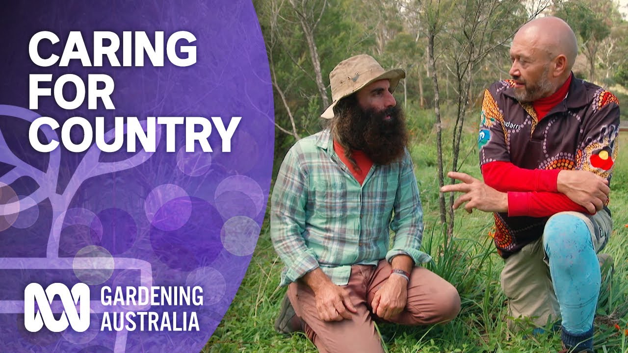 Caring for Country | Australian native plants | Gardening Australia ...