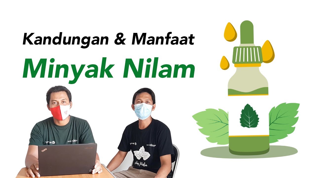 48. Kandungan dan manfaat Minyak Nilam - YouTube