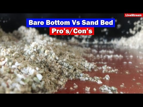 Bare Bottom vs Sand Bed in Saltwater Aquarium - YouTube