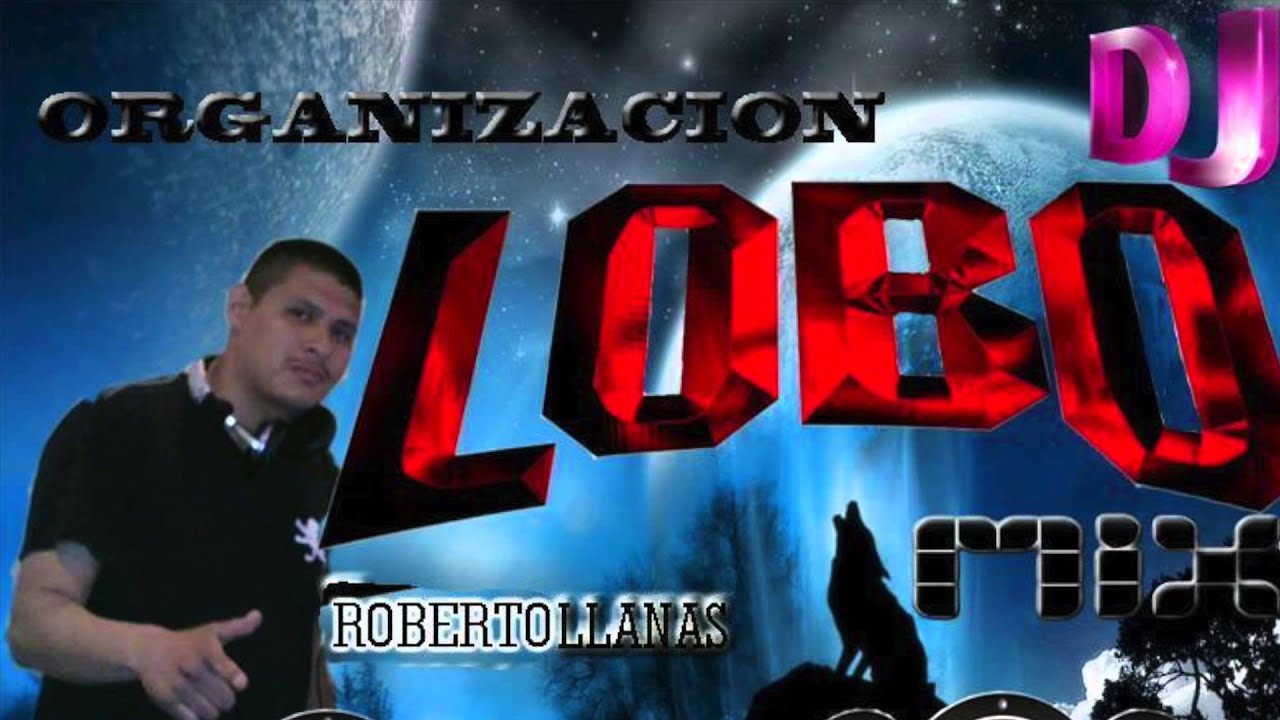 SALSA MIX DJ LOBO EL ORIGINAL - YouTube