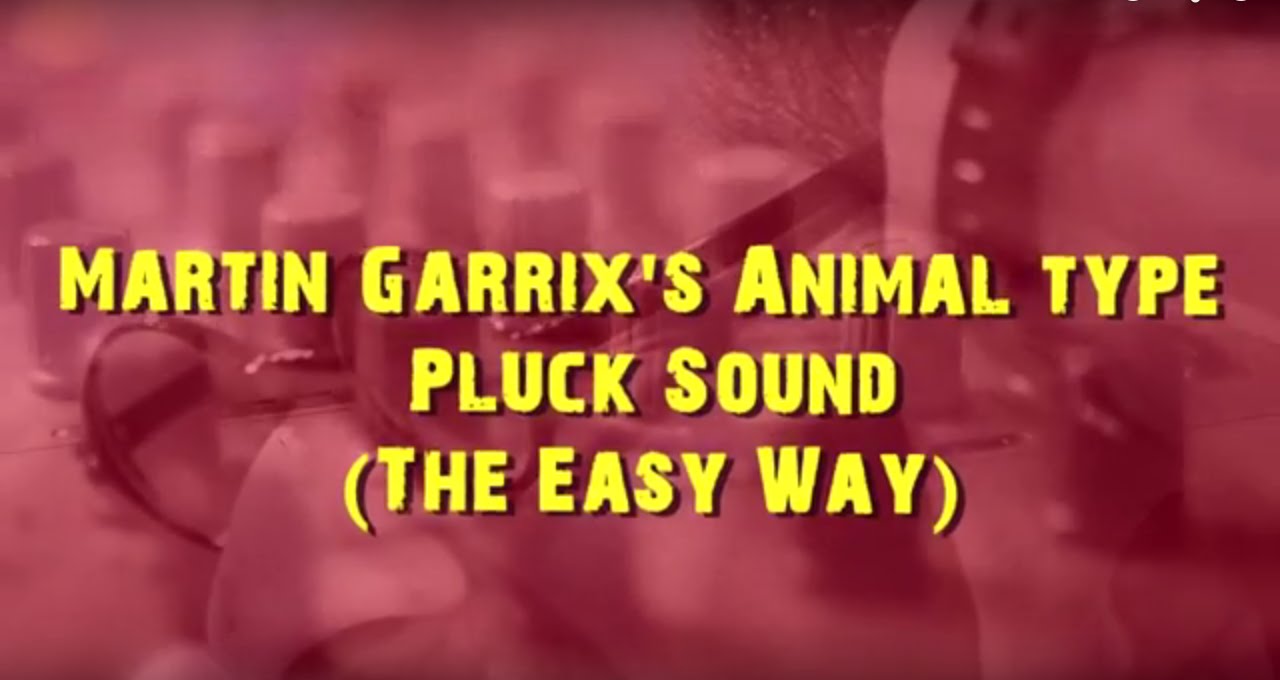How To Make Martin Garrix's Animal Type Pluck Sound (The Easy Way ...