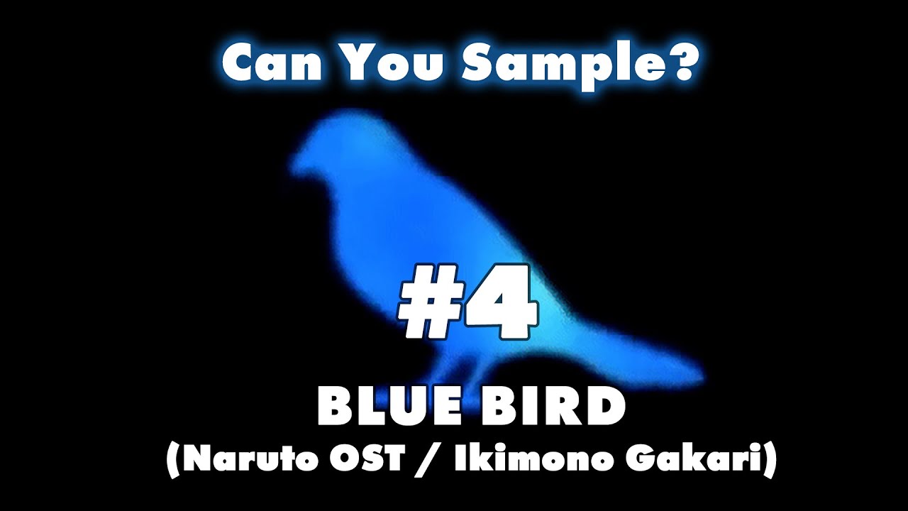 Blue Bird but its sampled... Can You Sample? #4- Blue Bird(Naruto ...