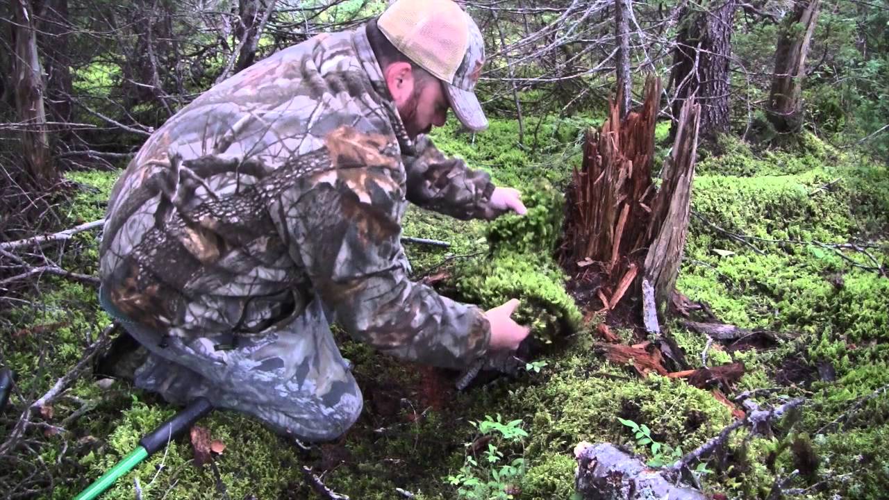 Mink box with natural material - YouTube