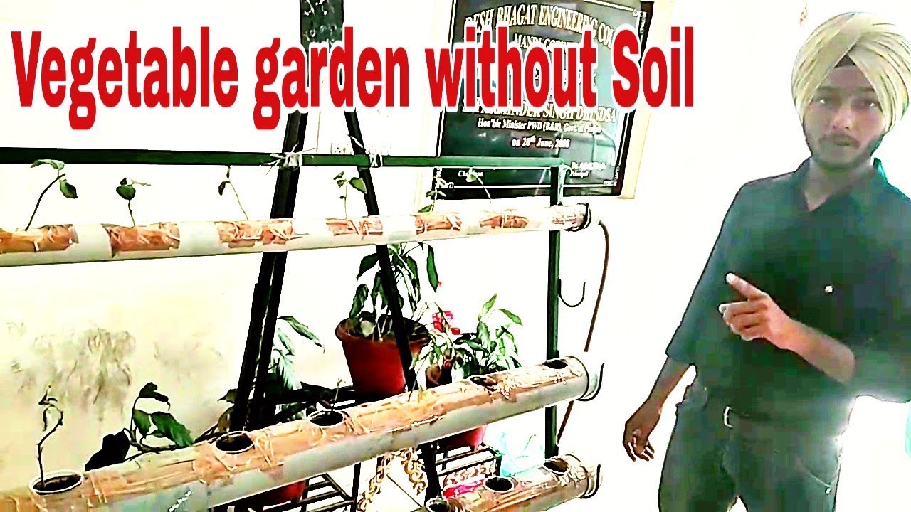 Vegetable Garden using Plastic Pipes Without Soil [New Agricultural ...