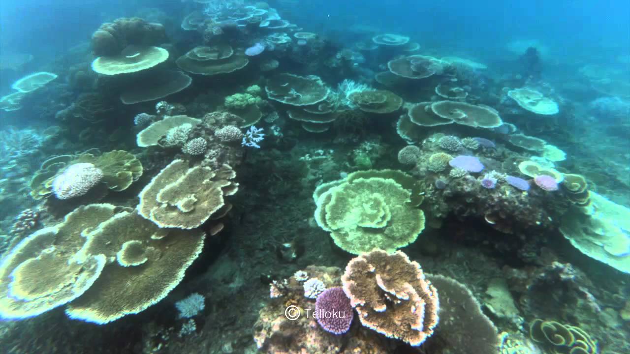 Pulau Tello, surga tersembunyi di Nias Selatan - YouTube