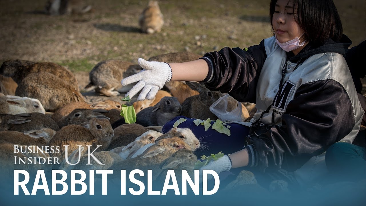 There's an island in Japan that's overrun with hundreds of adorable ...