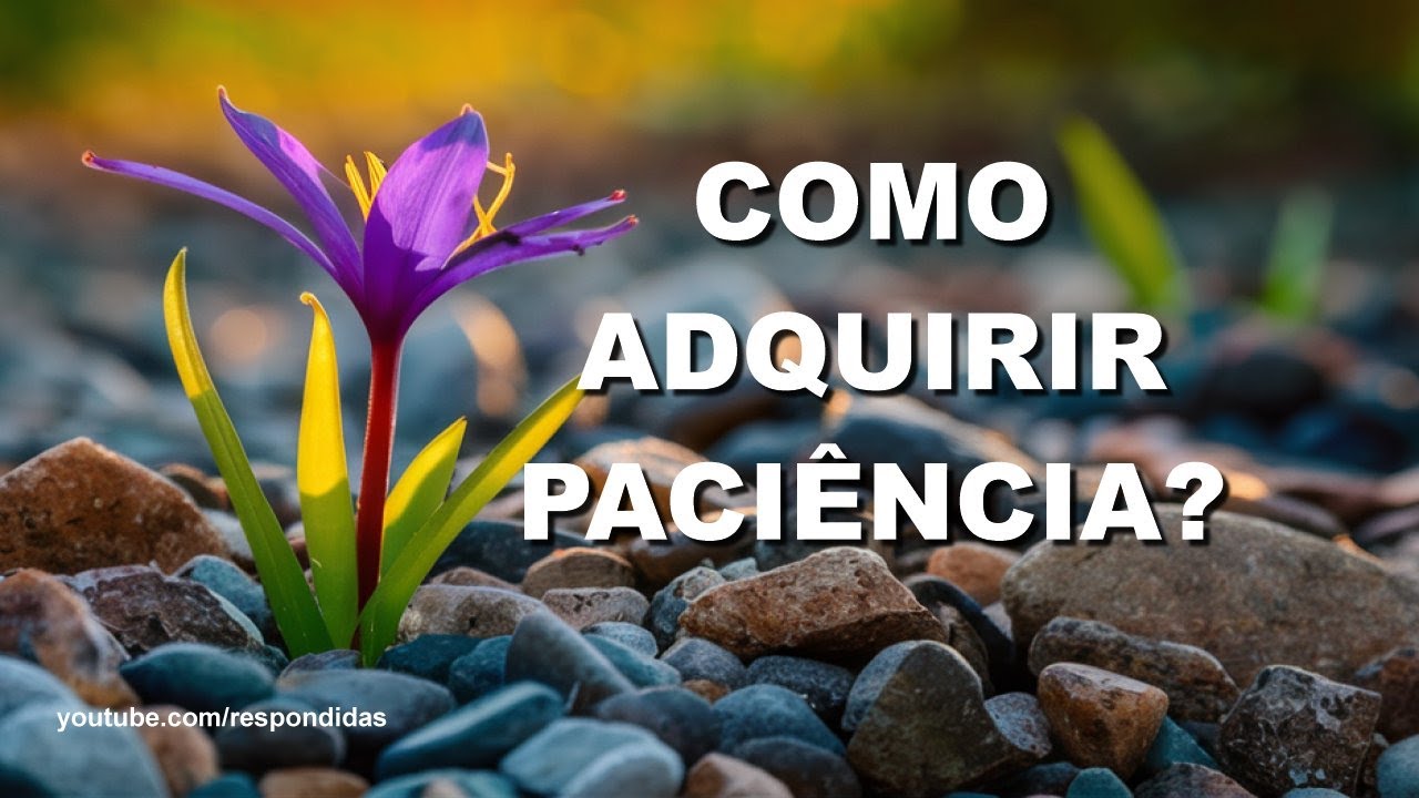 #2980 Como adquirir paciência? Tiago 1 - Mario Persona - YouTube