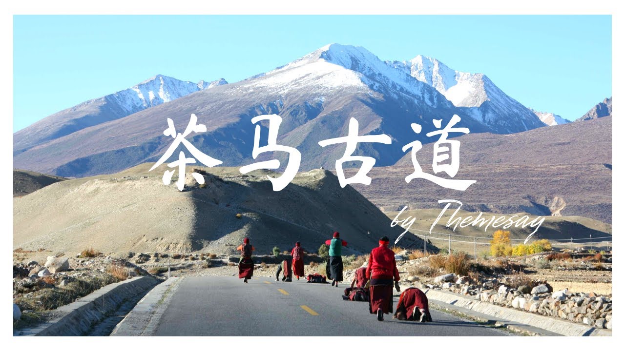 중국 차마고도(茶馬古道) 여행앨범[Travel Photo Album of Chinese Ancient Tea Route ...