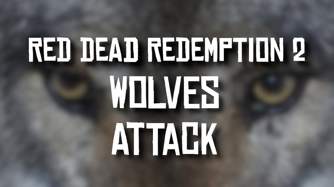 Wolves Attack - Red Dead Redemption 2 #rdr2 - YouTube