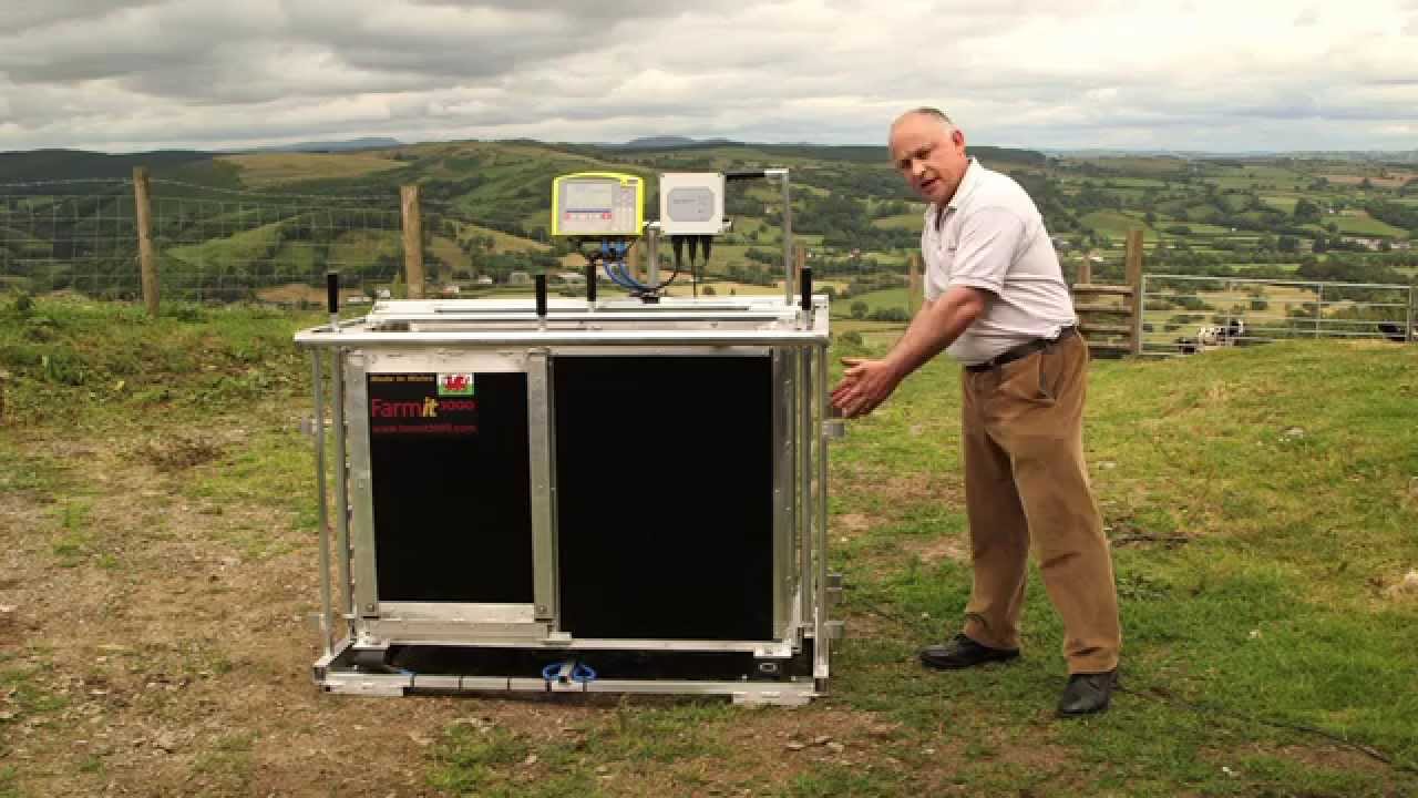 FarmIT 3000 3-way drafting EID Weigh Crate - YouTube