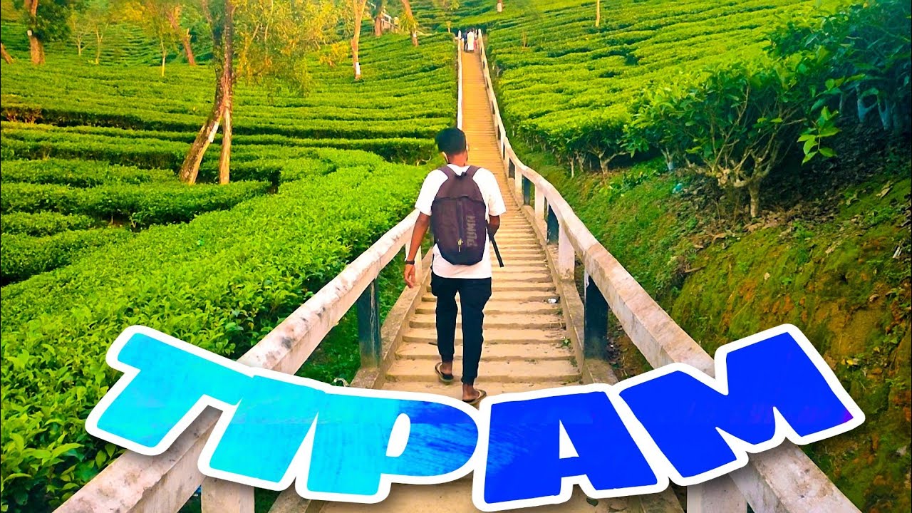 TIPAM Deomali Hills / WATERFALL - YouTube