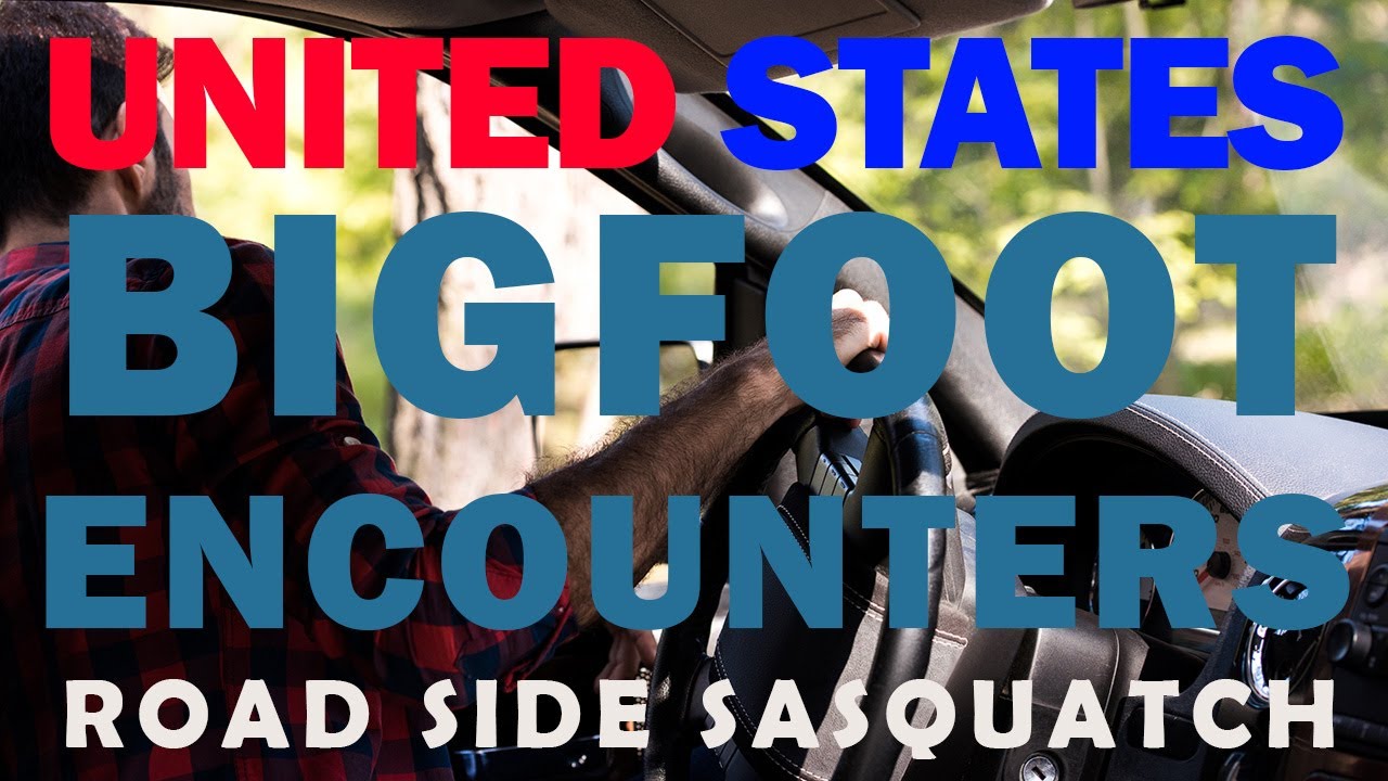 BIGFOOT ENCOUNTER MARATHON | RODE SIDE ENCOUNTERS (WHAT WAS THAT ...
