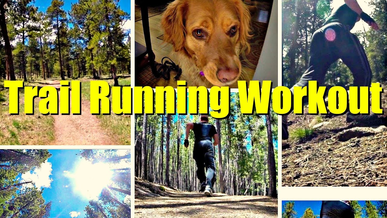 Sean's Trail Running Cross Training Workout! Cardio Insanity Bodyweight ...