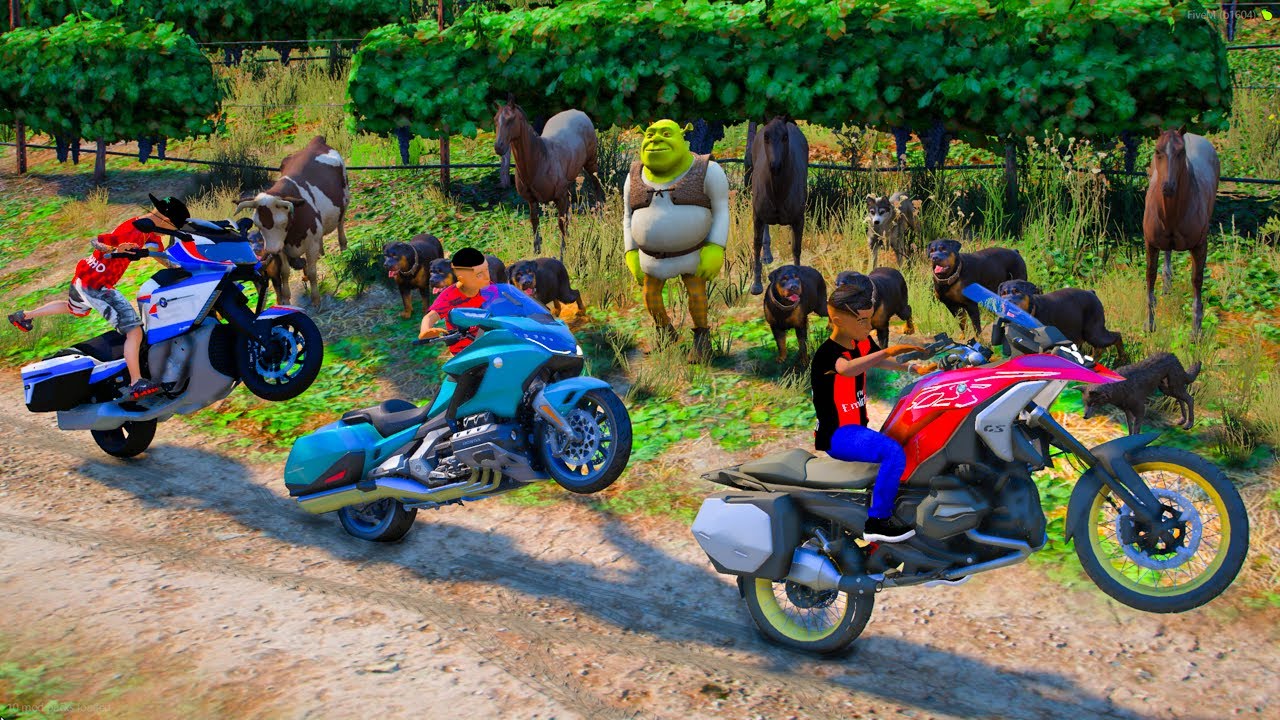 ROLÊ E TRILHA DE MOTO DO GRAU COM PAULIN E PEDRIN no GTA 5 MODS - YouTube