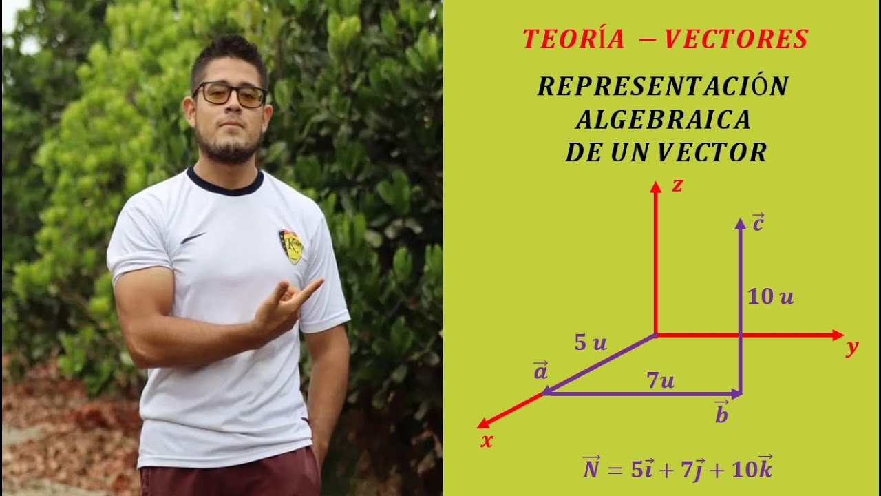 03 REPRESENTACIÓN ALGEBRAICA DE UN VECTOR EN R3 #física #vectores - YouTube