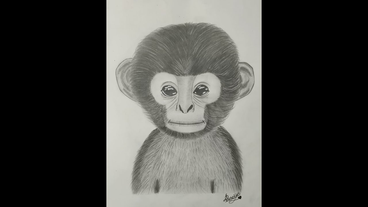 Primal Beauty||Furry Majesty || Charming Chimp || Banana Dreams ...