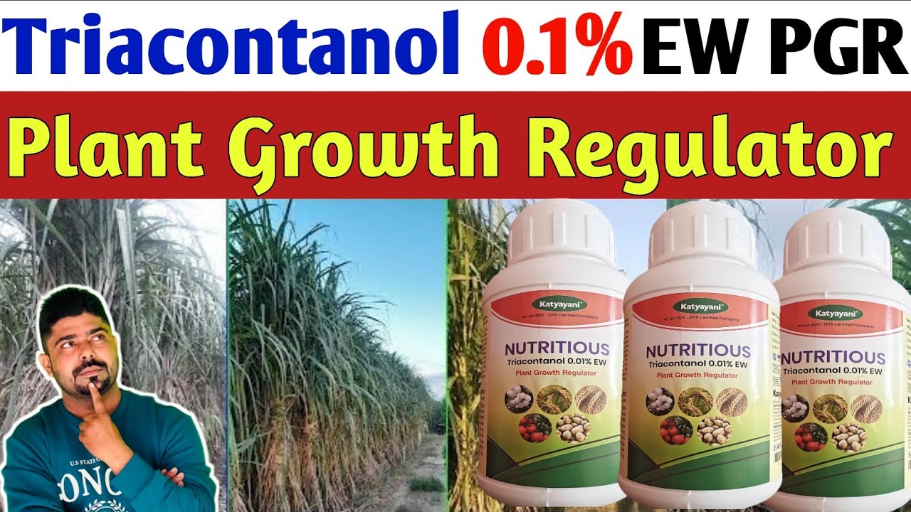 Triacontanol 0.1%Ew। PGR Tonic । Plant Growth Regulator । फसल की अनचाही ...