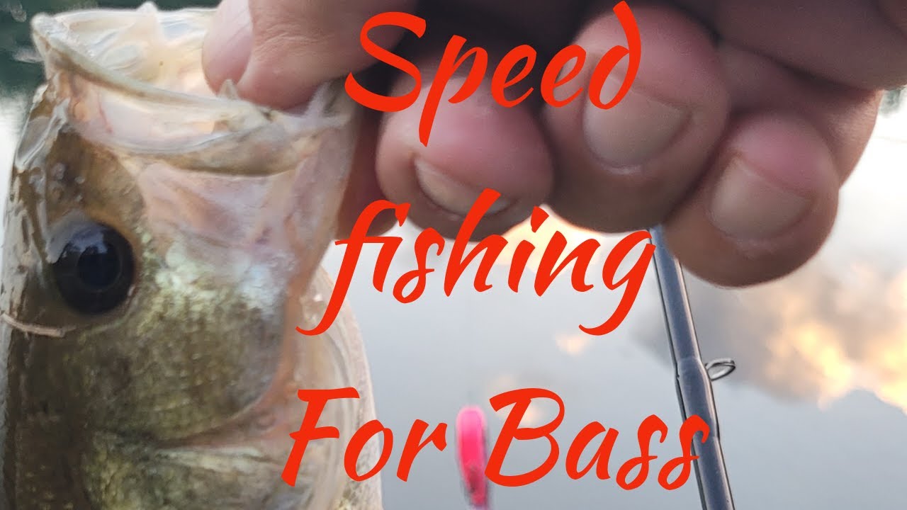 Speed Fishing a Pond - YouTube