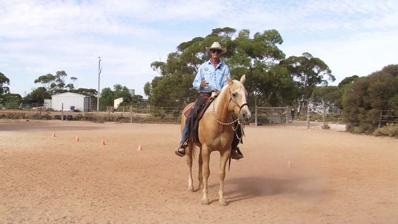 Awareness Horse Riding Lessons with Steve Halfpenny - YouTube
