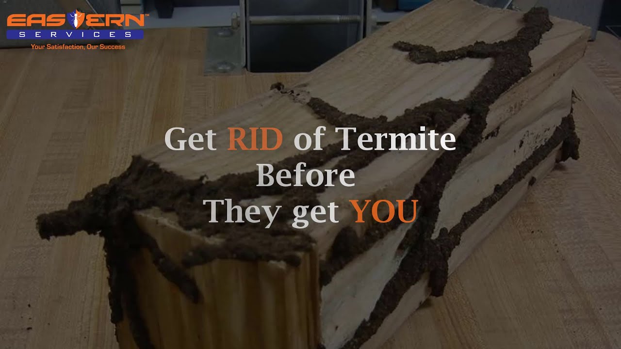 Pre-Construction Termite Proofing - YouTube
