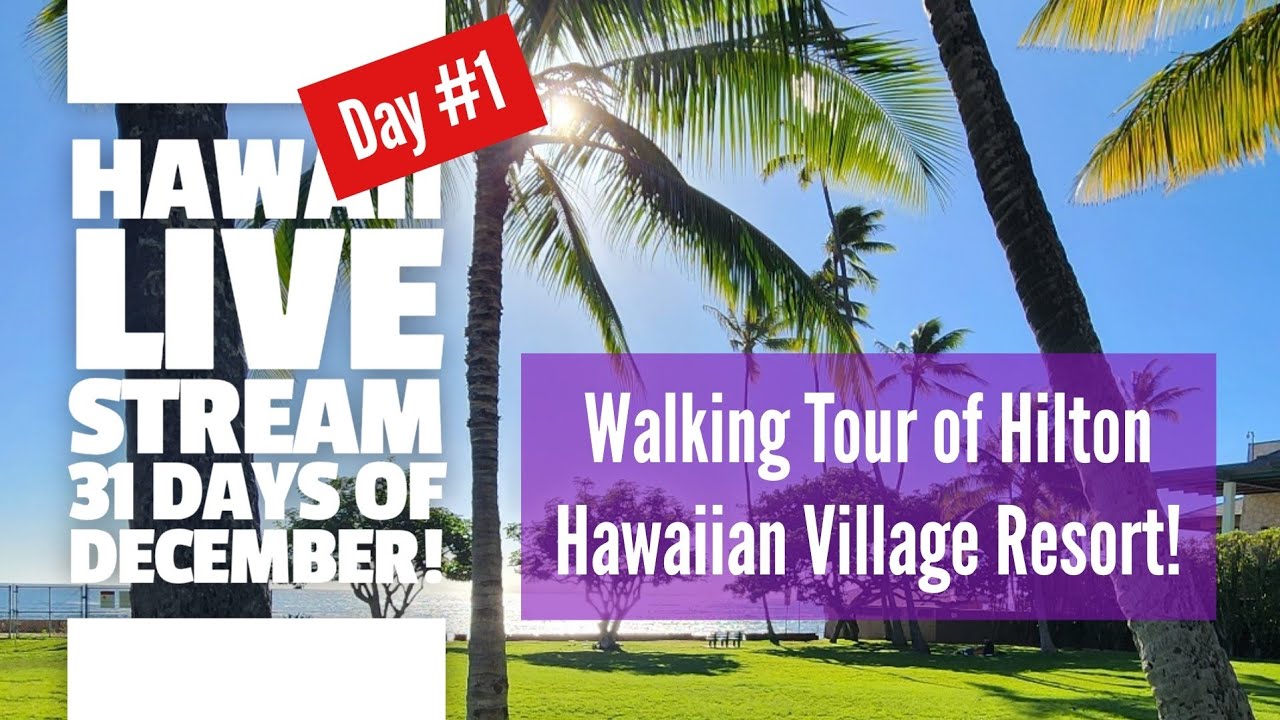 Going to Hawaii LIVE! Day #1 of Live Streaming the 31 days of December ...