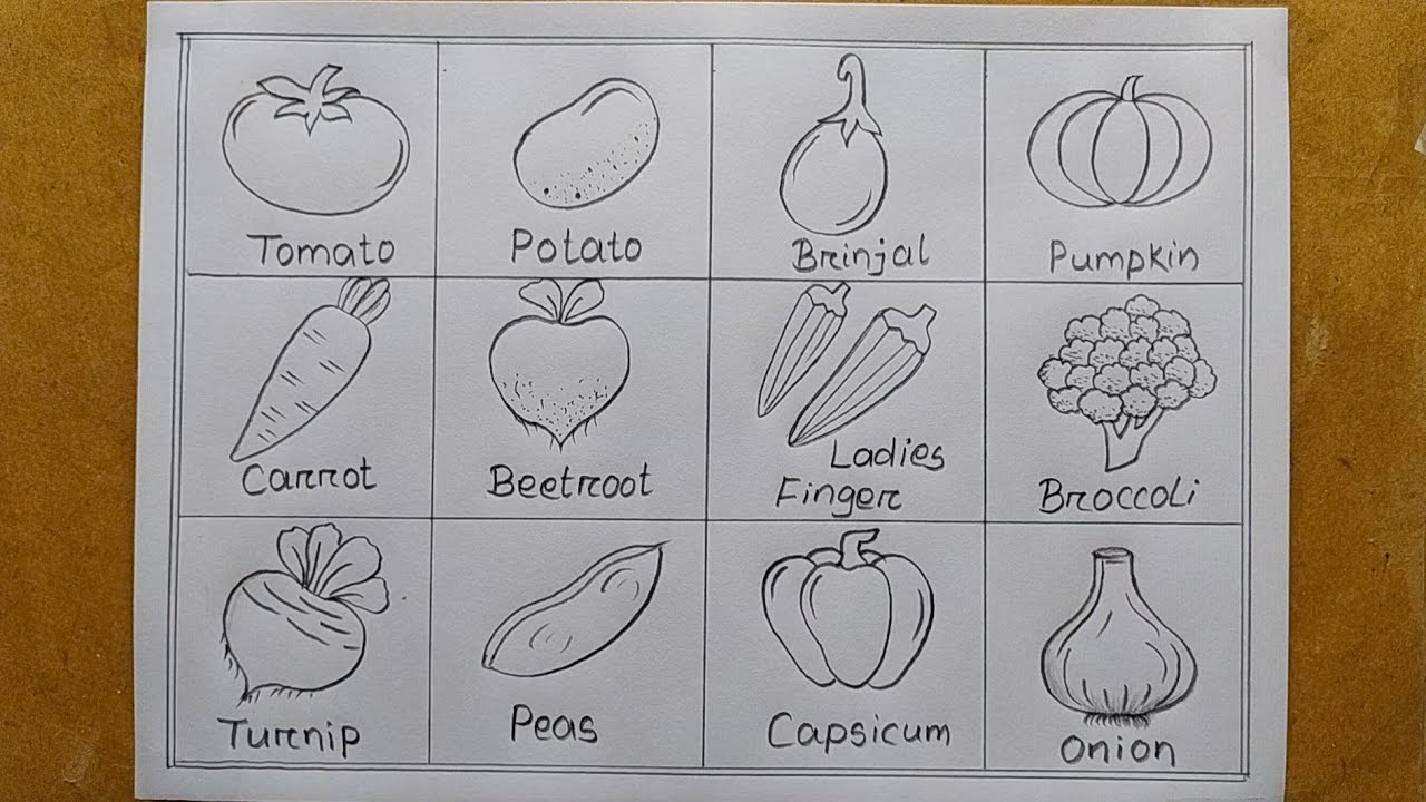 Different types of Vegetables drawing easy| How to different Vegetable ...