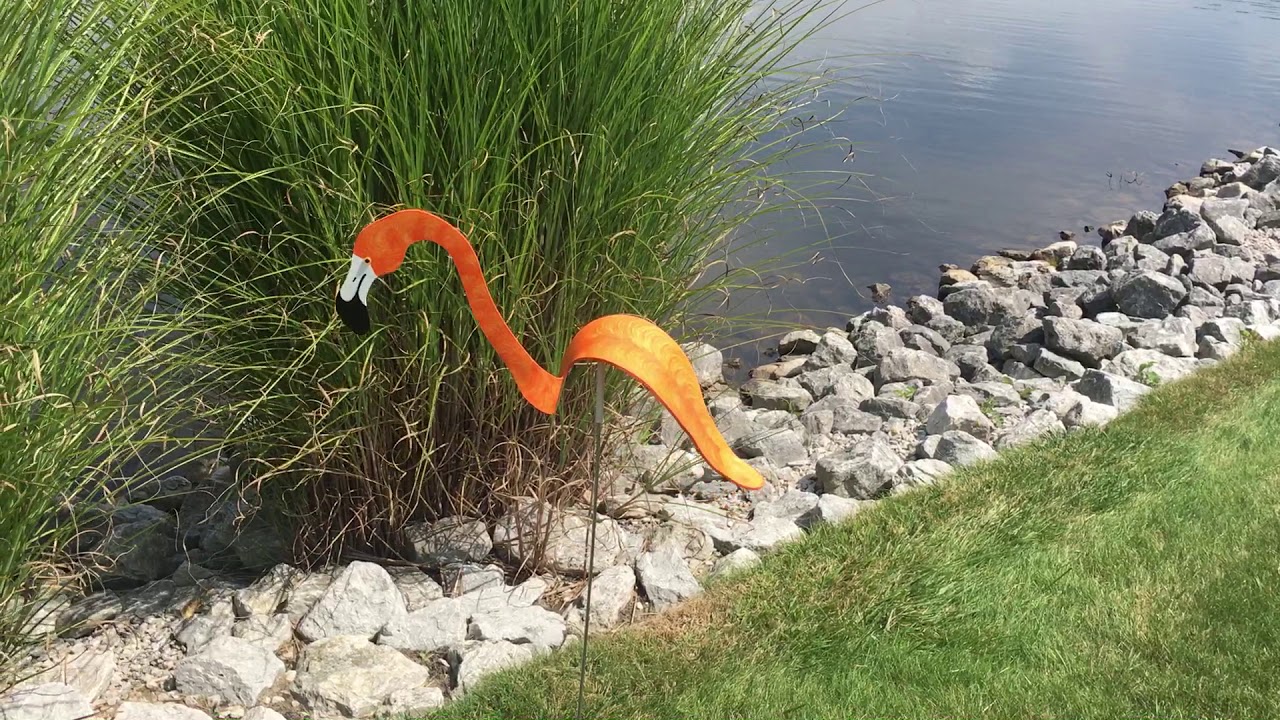 Florida Dancing Birds® Orange Flamingo Garden Art - YouTube