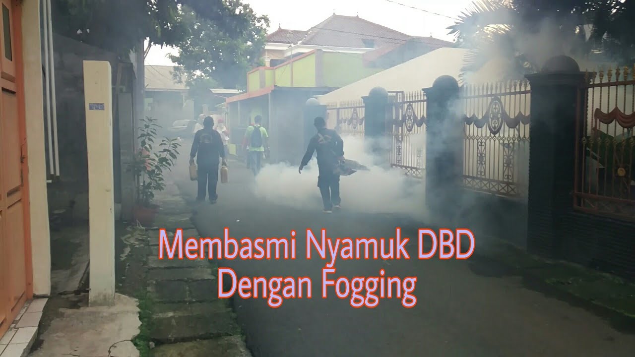 Membasmi Nyamuk DBD Dengan Fogging || Eradicate Dengue Mosquitoes With ...