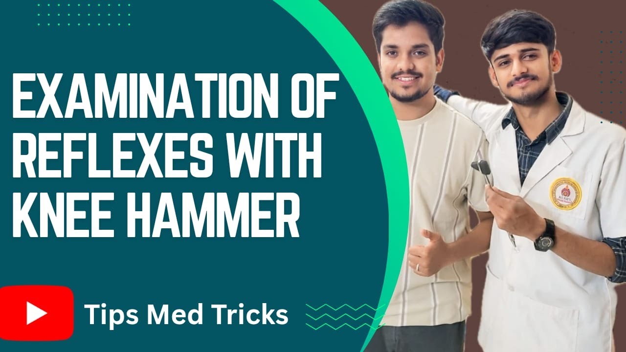 Examination of Reflexes with knee Hammer - YouTube