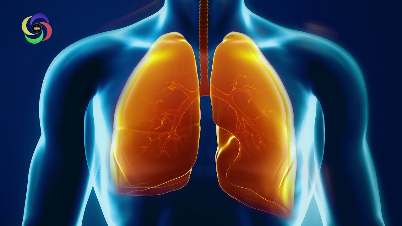 Frequency of Lungs 220 Hz | Monaural - Pure - Organ - Music For ...