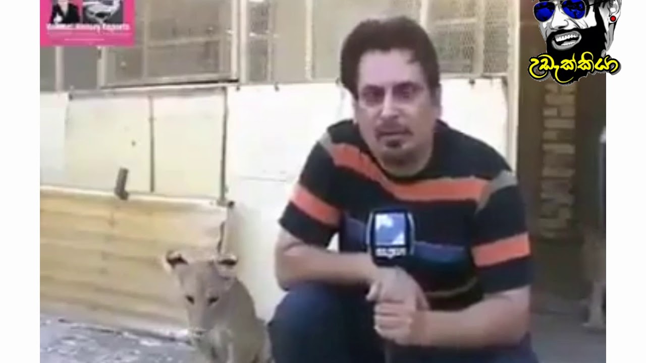 ඉදා,හිනාවෙලා මැරියල්ලා #udakkiya #funnyvideo #comedy - YouTube