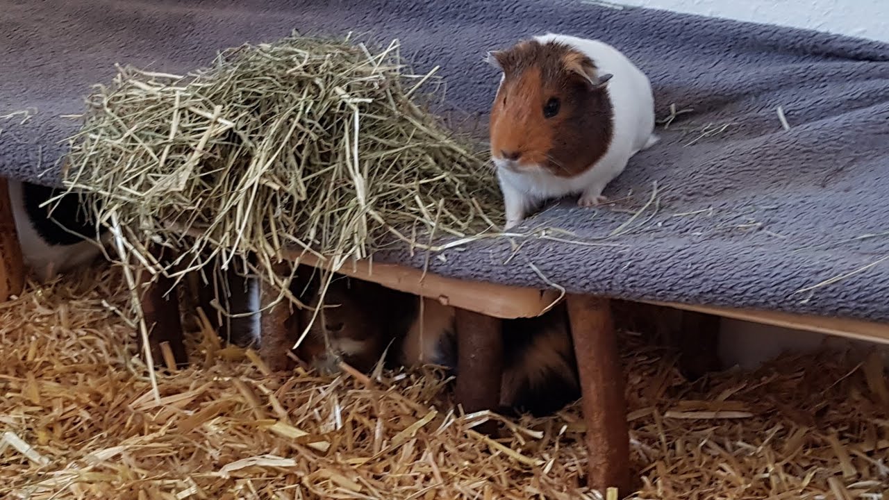 How do I get back down here? - YouTube