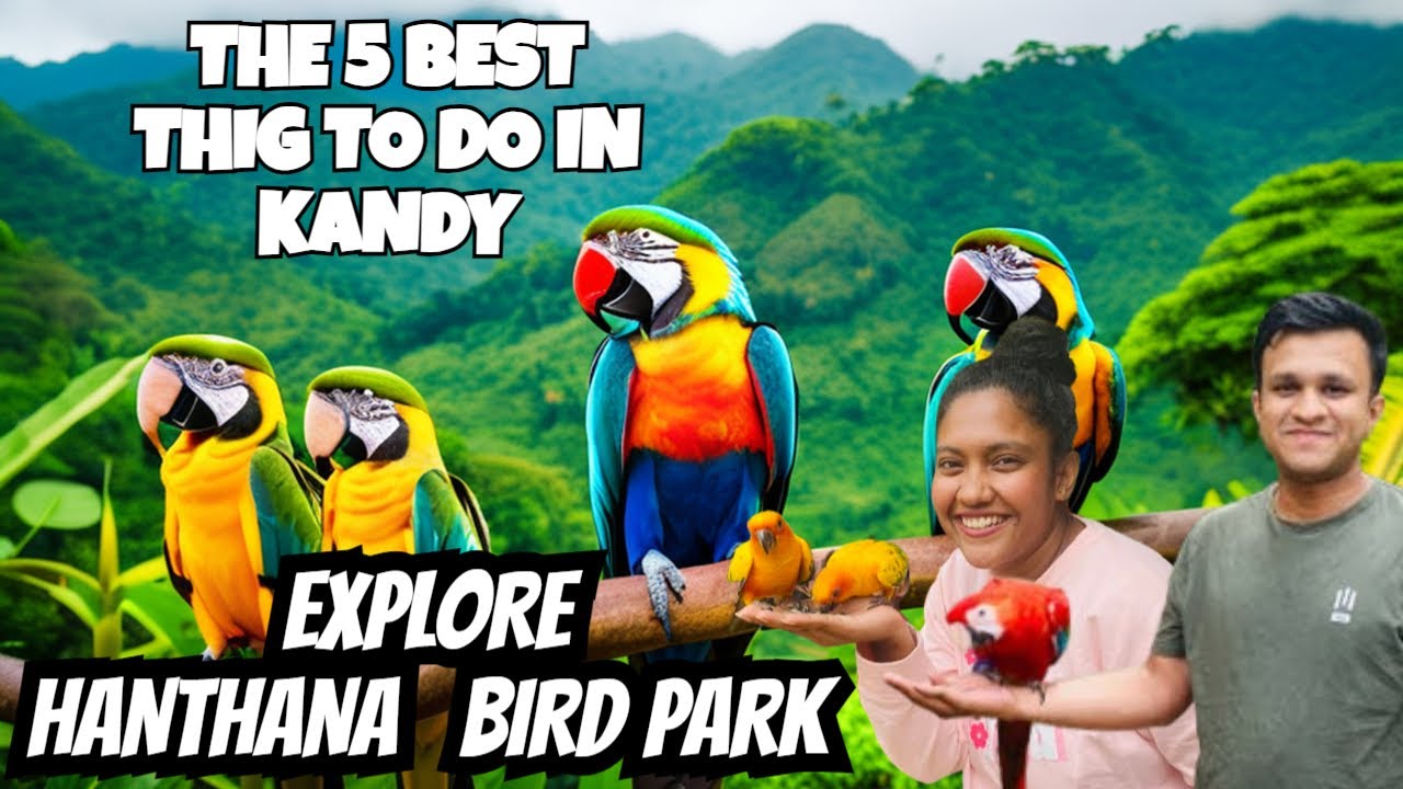 Hanthana Bird Park | THE 5 BEST Things to Do in Kandy - YouTube