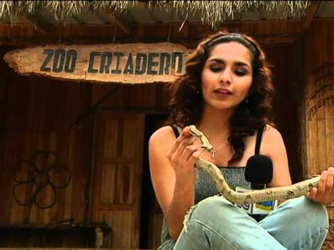 Oriente Ecuatoriano - Descanso del Iwia en Shell - YouTube