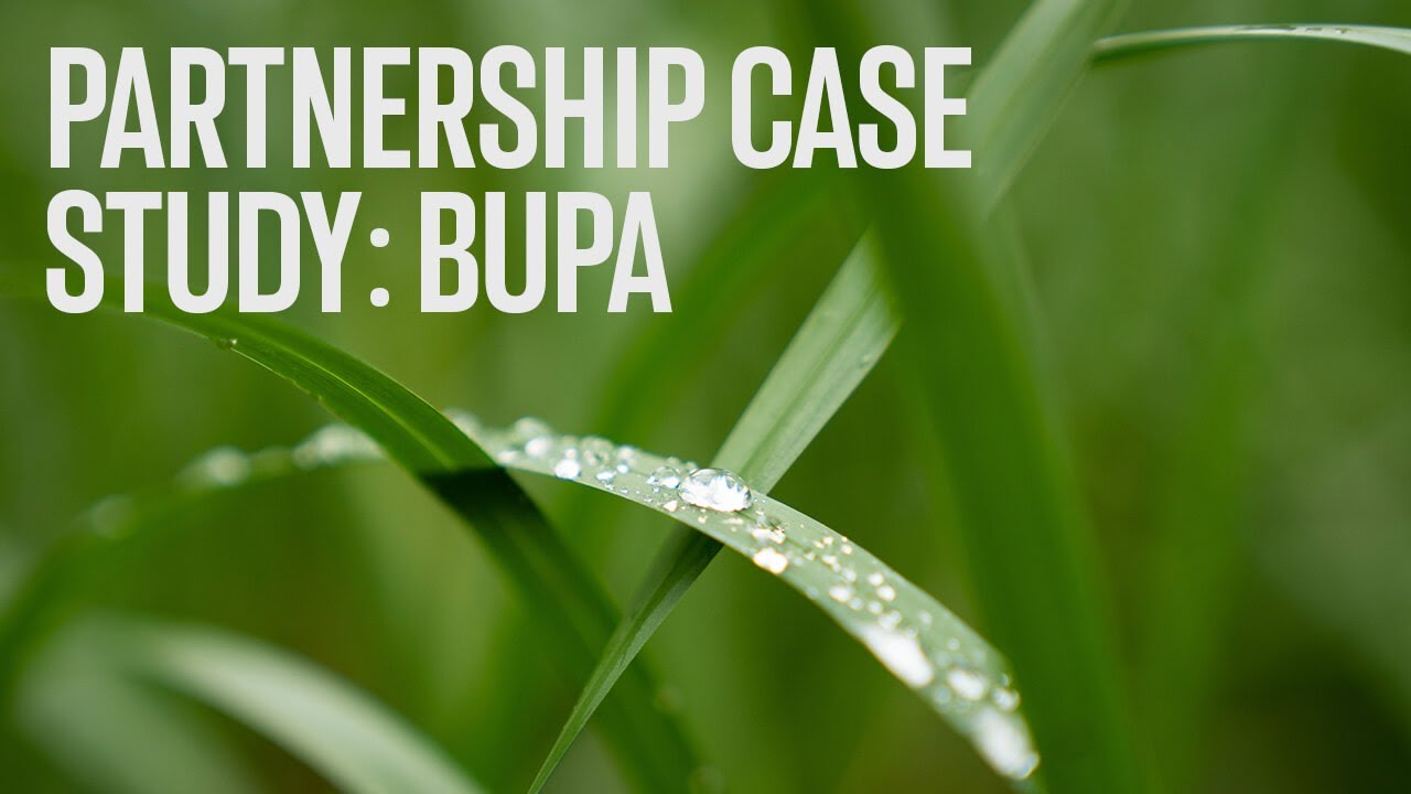 UNDO x Bupa EcoDisruptive : A Collaborative Case Study - YouTube