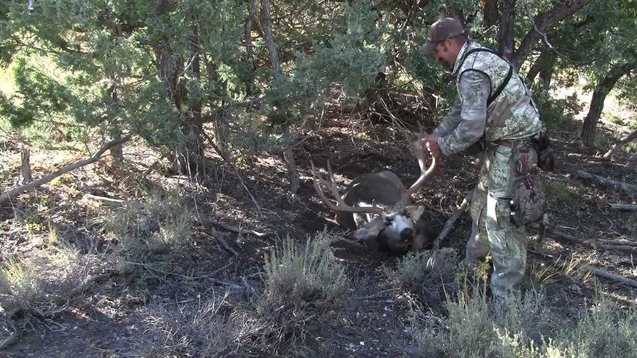 195" Mule Deer Muzzleloader Hunt - MossBack - YouTube