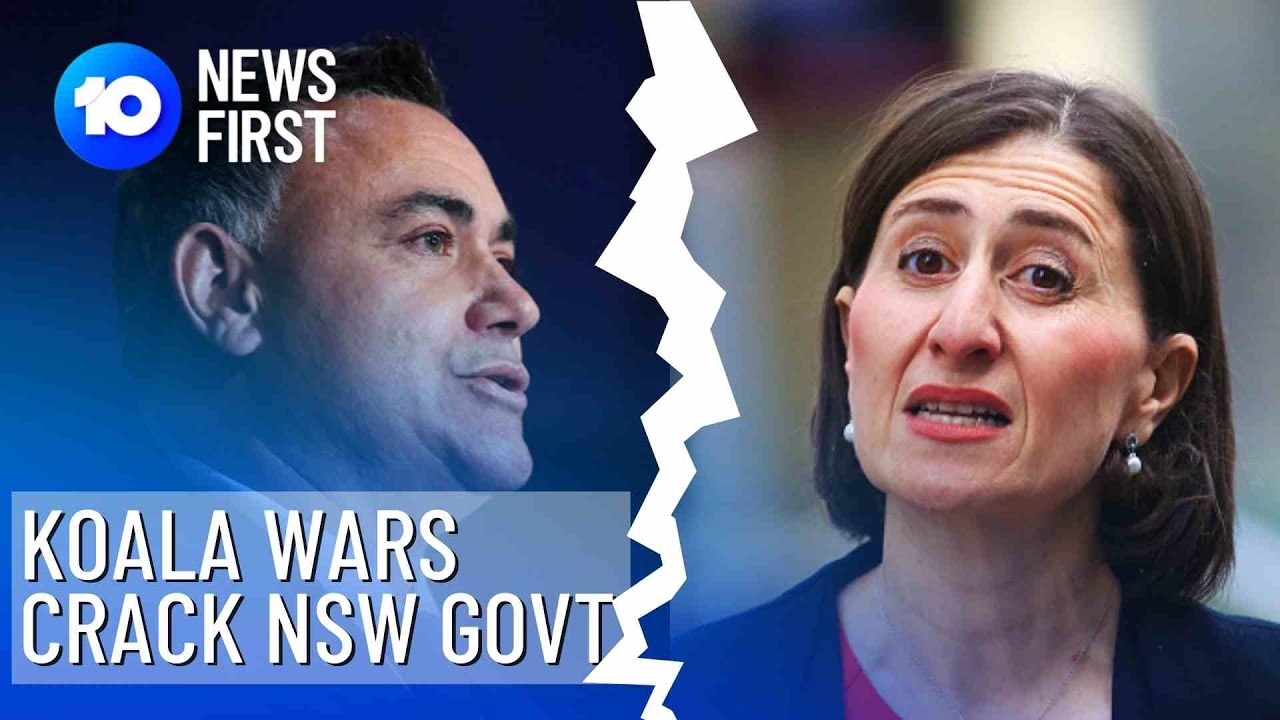 Koala Wars Divide NSW Parliament | 10 News First - YouTube
