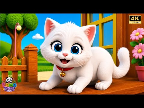 Meow Meow Billi Karti Meow Meow  | Funny Cat Song for Kids | Hindi Balgeet | Pomorhymes