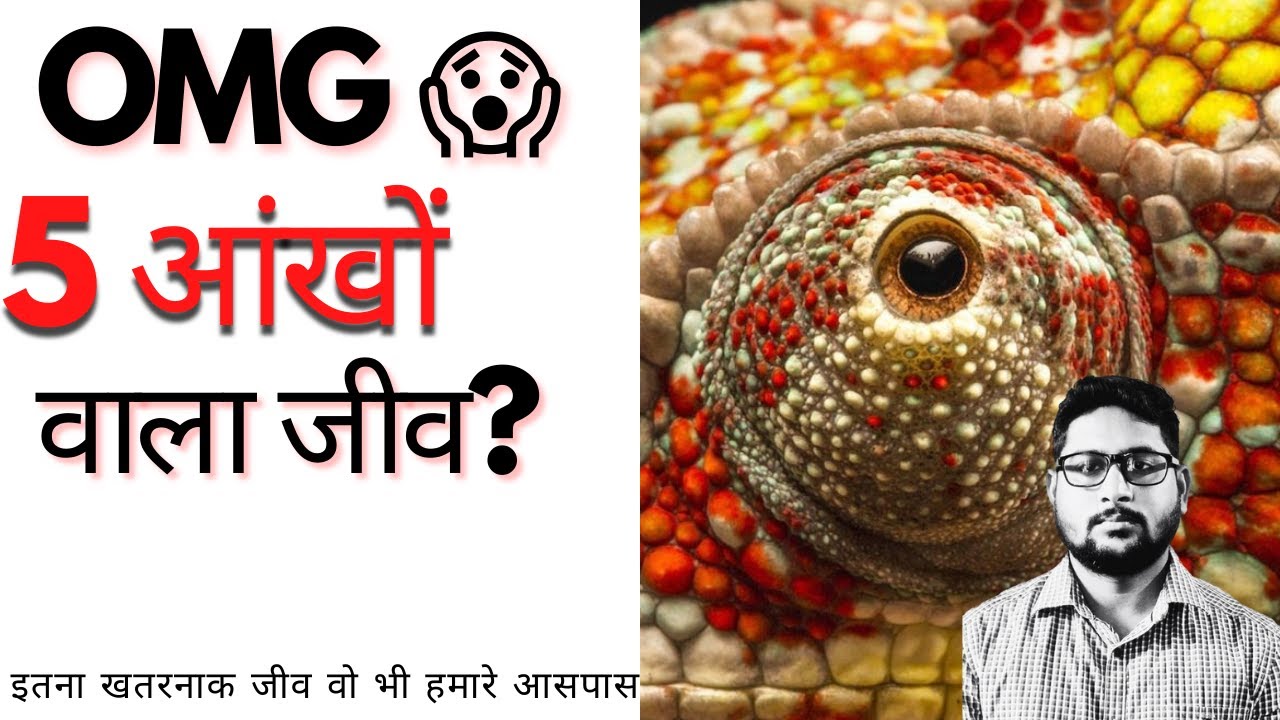 which insects have 5 eyes ? | five ankho wala insects | amazing facts ...