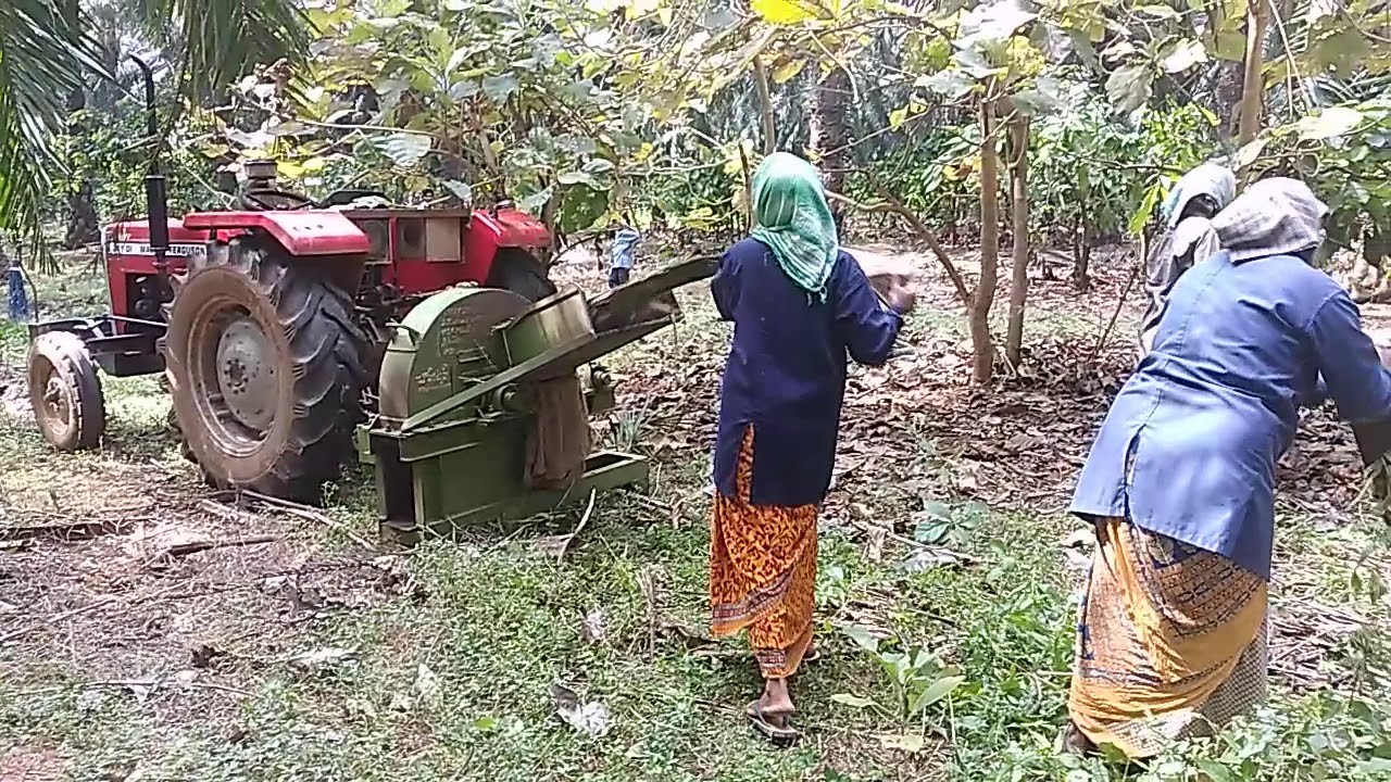 Oil palm leaf chopping cutter Indian style - YouTube