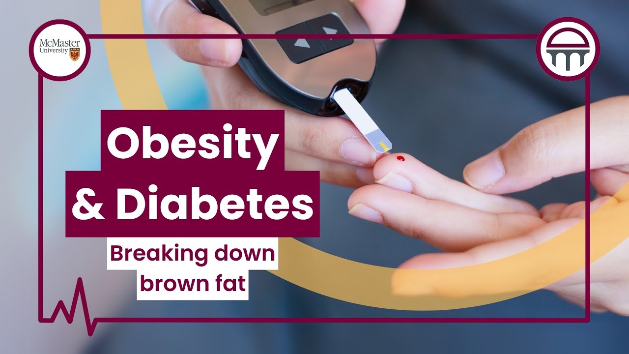 Breaking Down Brown Fat - Treatment for Obesity & Diabetes - YouTube