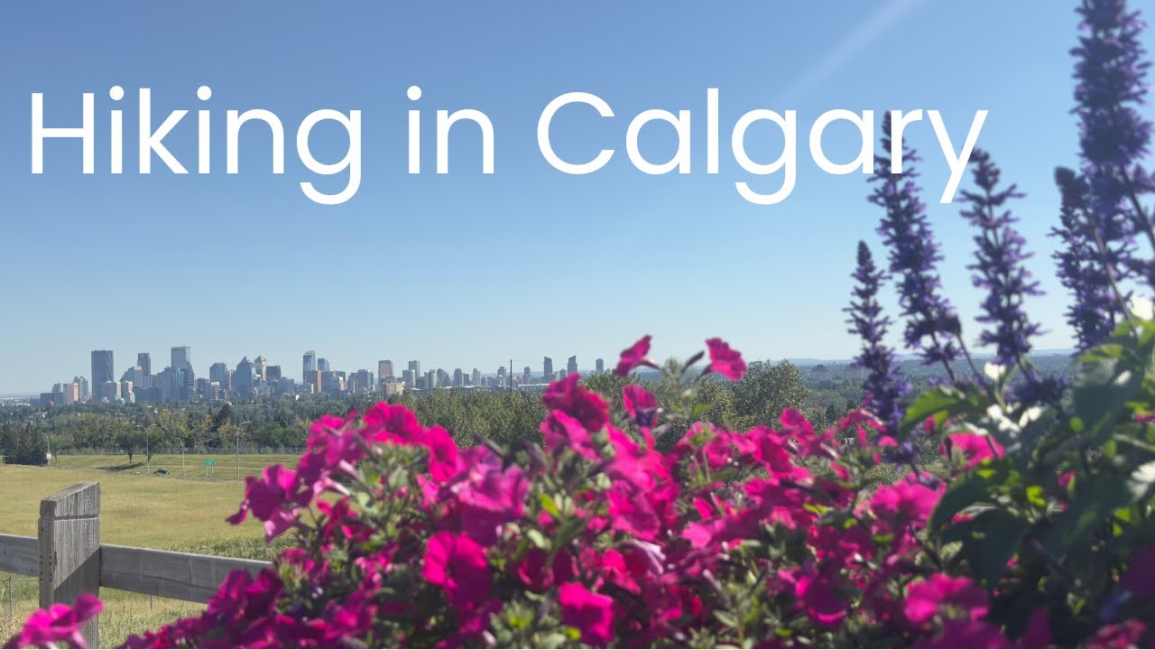 Things to Do in Calgary: Nose Hill Park Hike & Walking Tour | Calgary ...