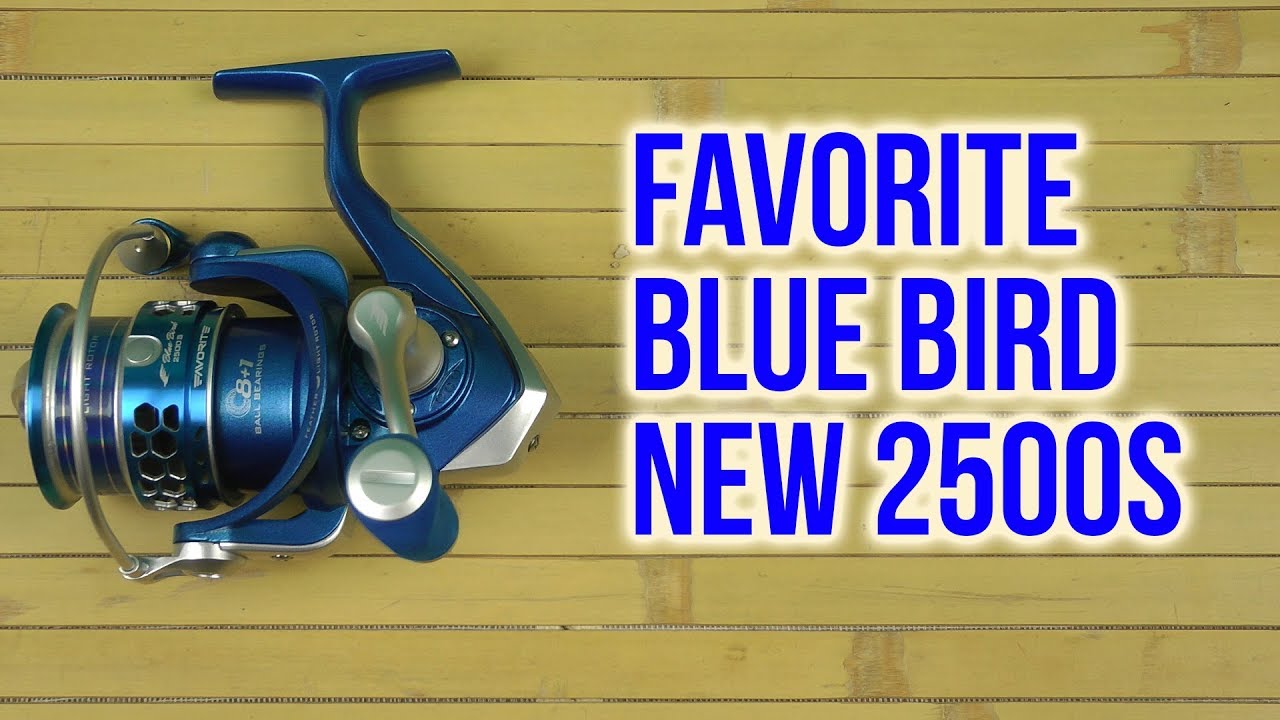 Распаковка Favorite Blue Bird NEW 2500S - YouTube