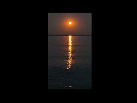 Sev Beni Yarim | Hareketli Karadeniz Horon | Kemençeli Enerjik Aşk Şarkısı