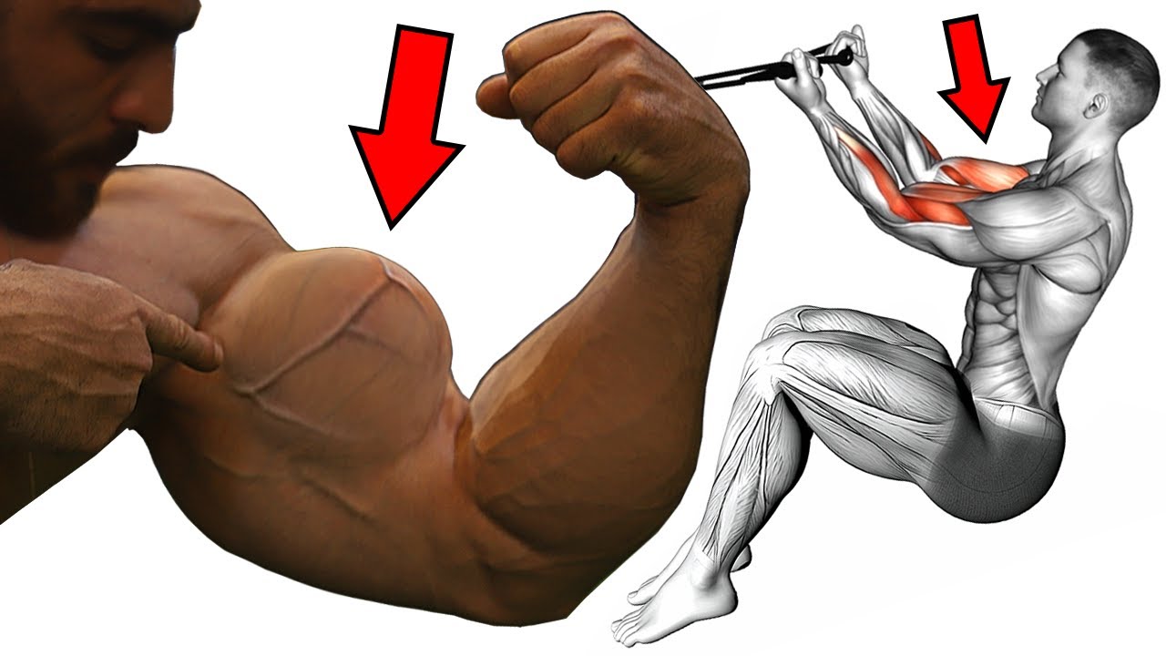 Biceps 7 Best Exercises To Make Your Biceps Grow Faster Youtube