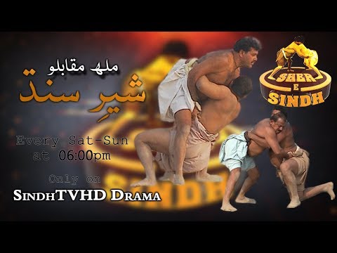 Sher-e-Sindh Malakhro Promo | Every Saturday & Sunday at 06:00pm | Only on SindhTVHD Drama
