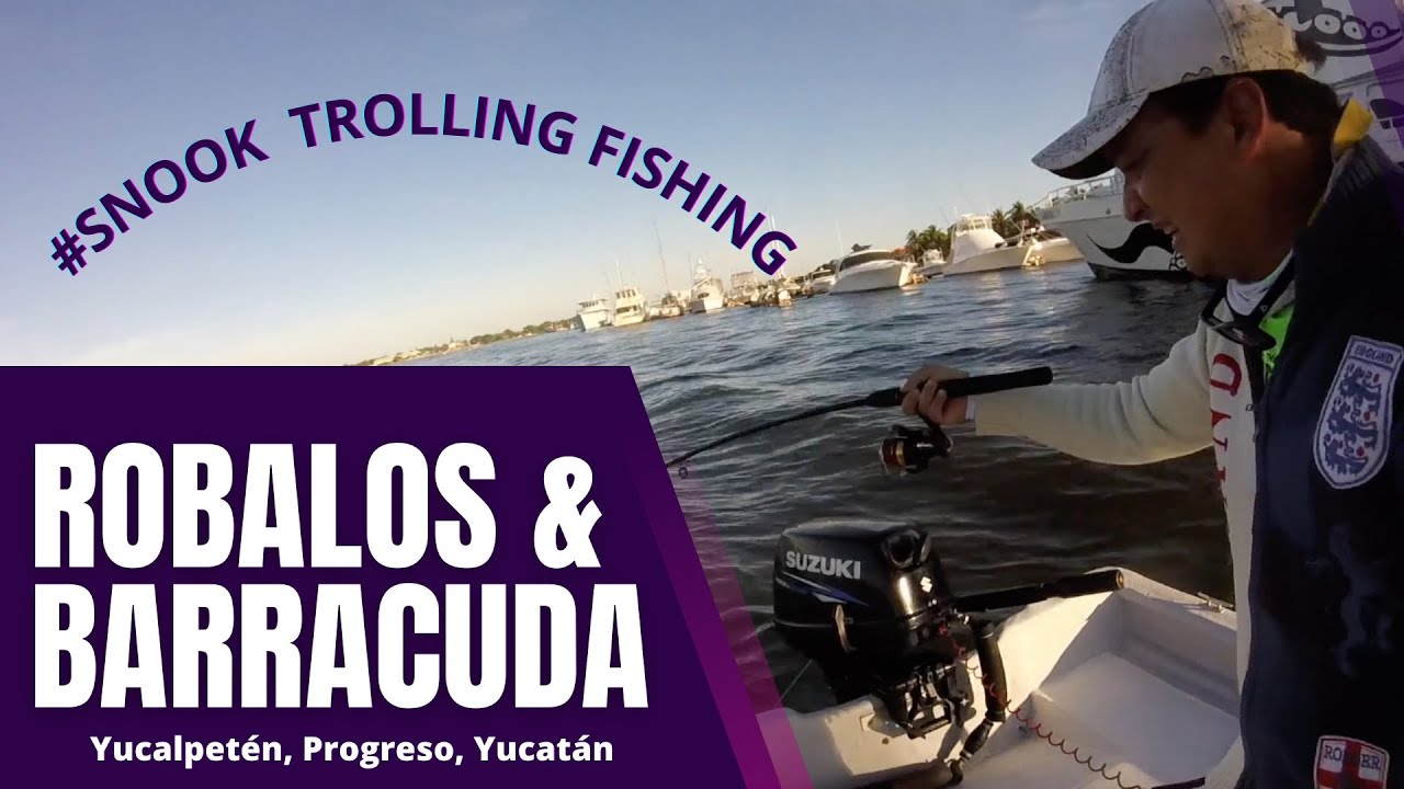 PESCA DE ROBALOS Y BARRACUDAS. #Barracuda - #Snook - - YouTube