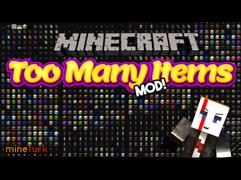 Too Many Items (Çok Kolay Eşya Alma) Modu