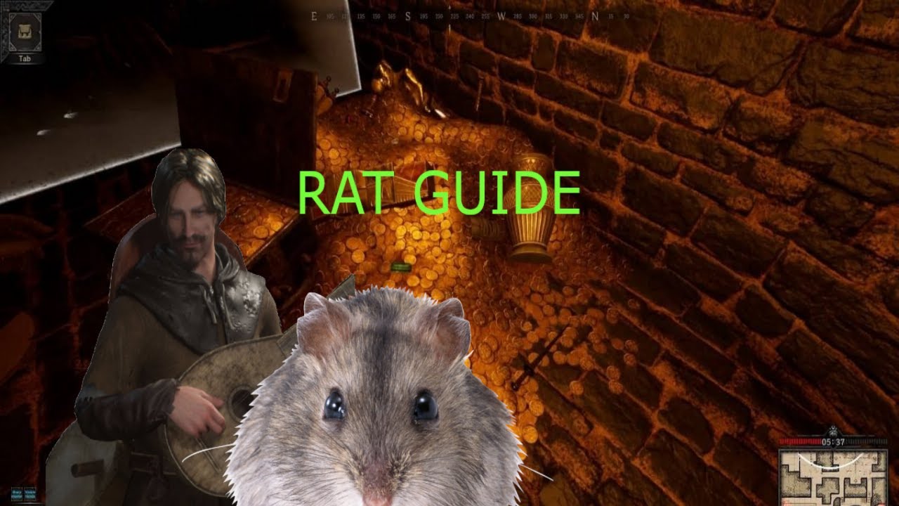 Dark And Darker - Bard Rat Ruins Guide - Hotfix #15 patch - YouTube